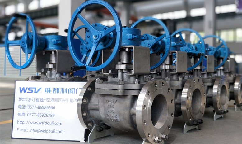 Titanium Ball Valves Manufacturer/Company | WSV Valve