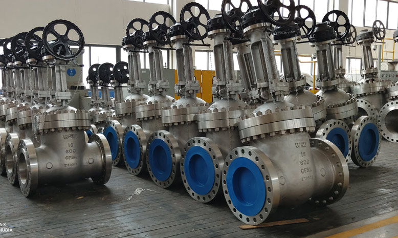 Stainless Steel Gate Valves Manufacturer/Company | WSV Valve