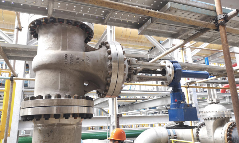 Super Austenitic Gate Valves Manufacturer/Company | WSV Valve