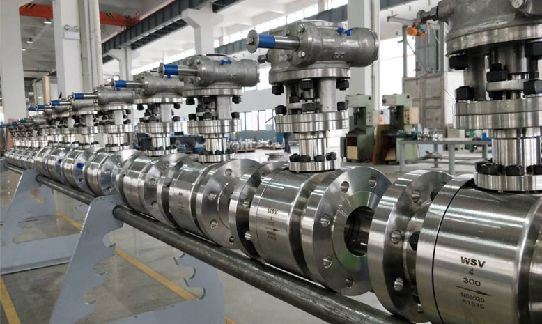 Super Austenitic Ball Valves Manufacturer/Company | WSV Valve