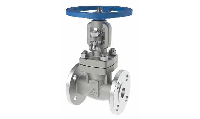 Titanium Gate Valves Manufacturer/Company | WSV Valve