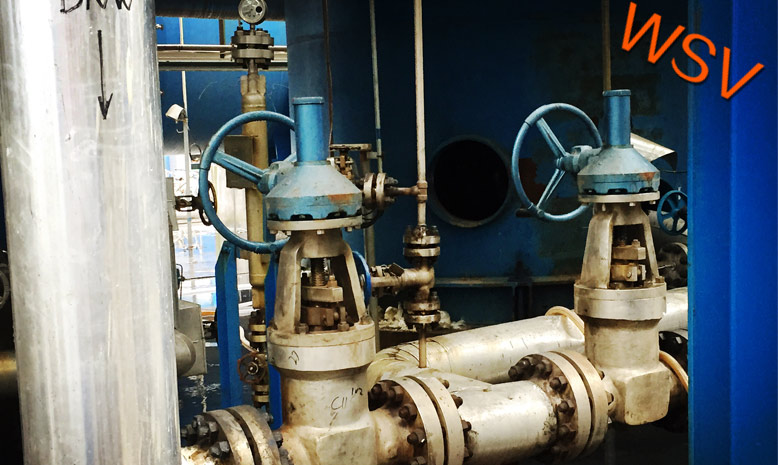 Zirconium Gate Valves Manufacturer/Company | WSV Valve