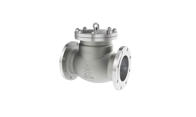 Titanium Check Valves Manufacturer/Company | WSV Valve