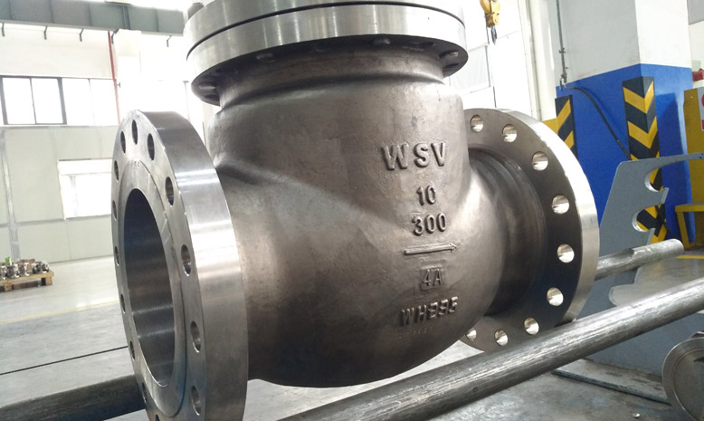 Duplex Check Valves Manufacturer/Company | WSV Valve
