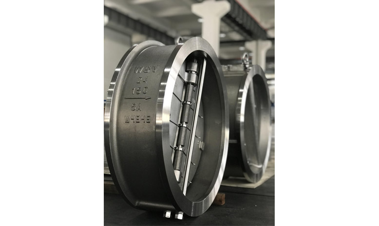 Duplex Check Valves Manufacturer/Company | WSV Valve