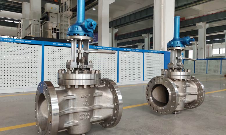 Inconel Plug Valves Manufacturer/Company | WSV Valve