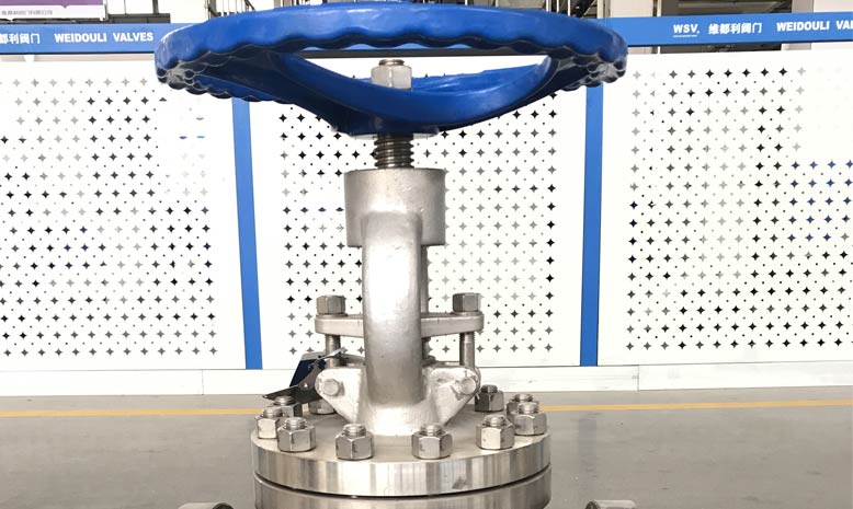 Monel Globe Valves Manufacturer/Company | WSV Valve