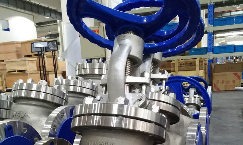 Monel Globe Valves Manufacturer/Company | WSV Valve