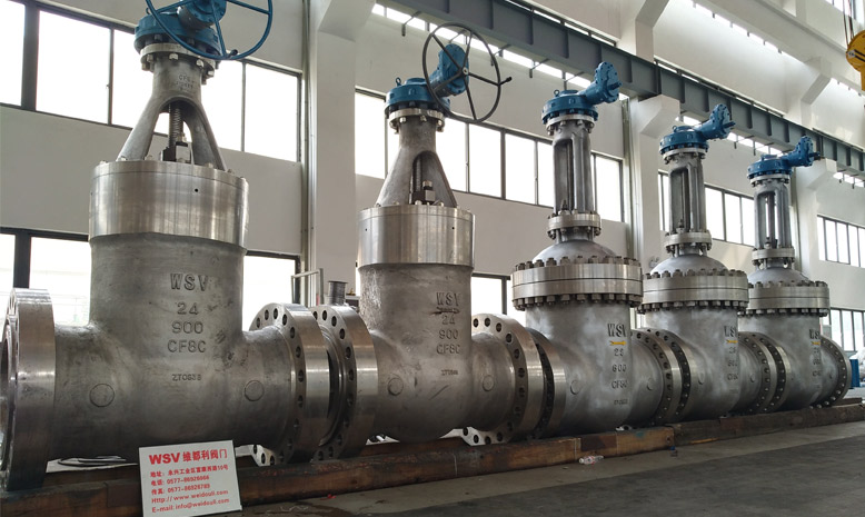 Titanium Globe Valves Manufacturer/Company | WSV Valve